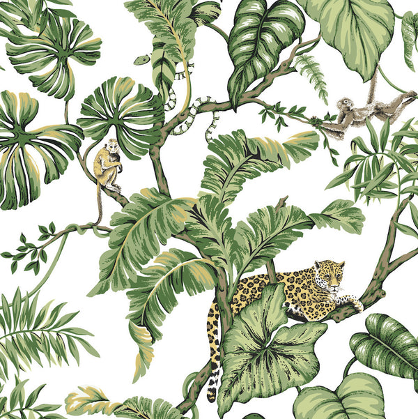 Green – Page 2 – Wallpaper The Home
